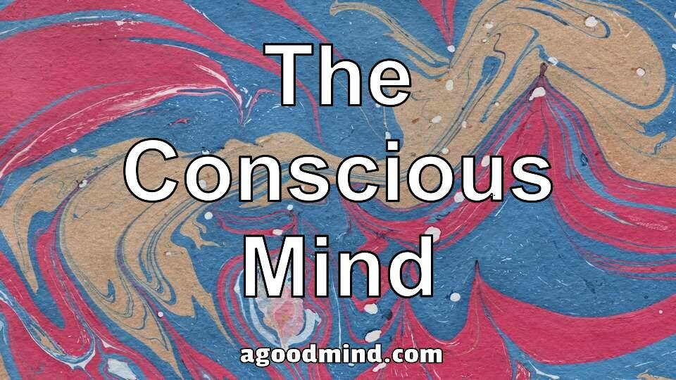 The Conscious Mind – A Good Mind