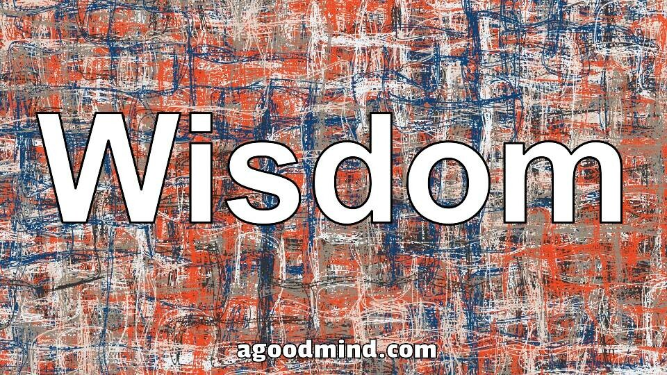 Wisdom – A Good Mind