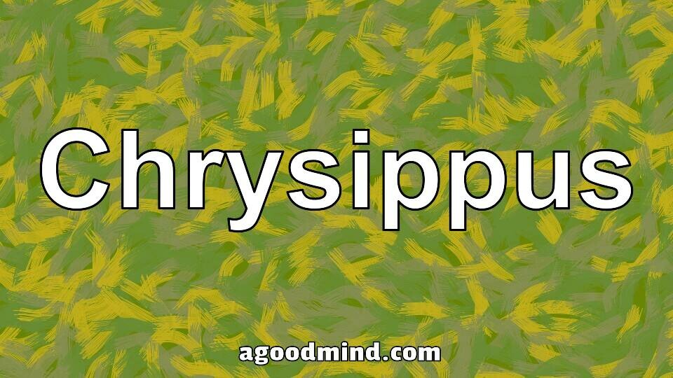 Chrysippus – A Good Mind